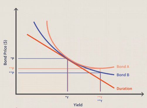 What is Bond Convexity? A Guide to Bond Convexity - LearnBonds.com
