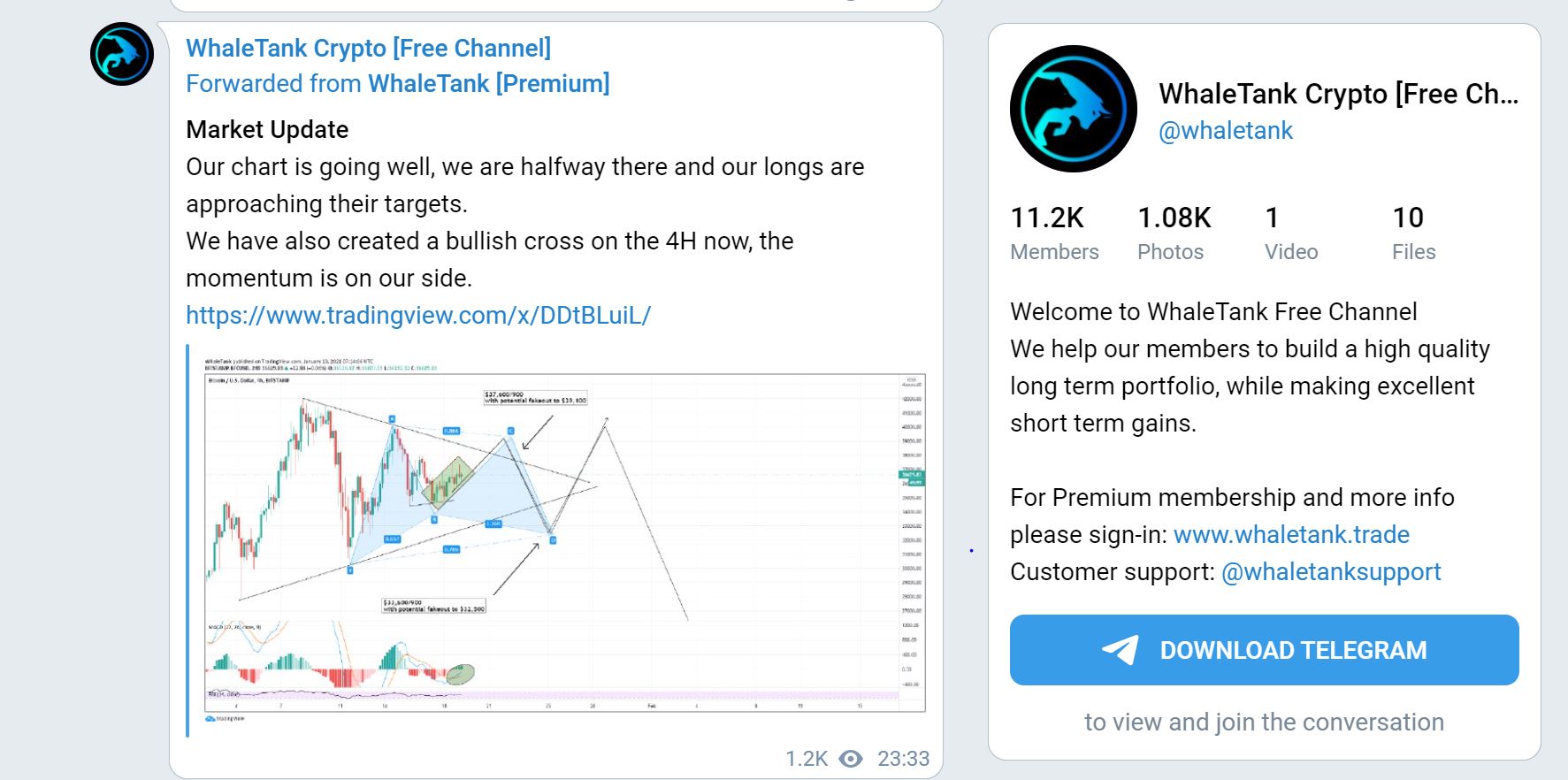Best Crypto Signals Telegram Group - Get Free Crypto Signals ...